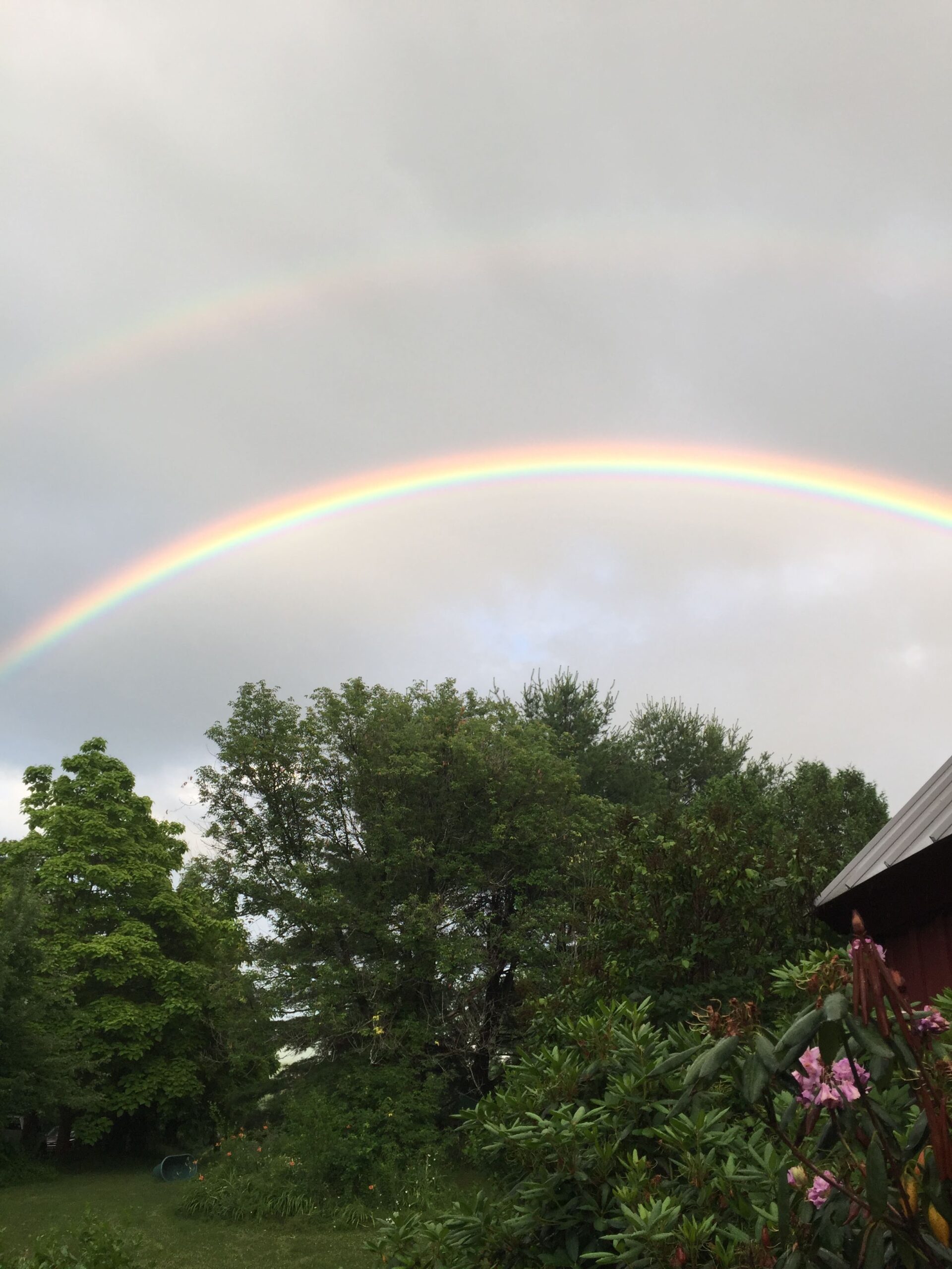 Daily Bible Verse – Trinity United Methodist Church